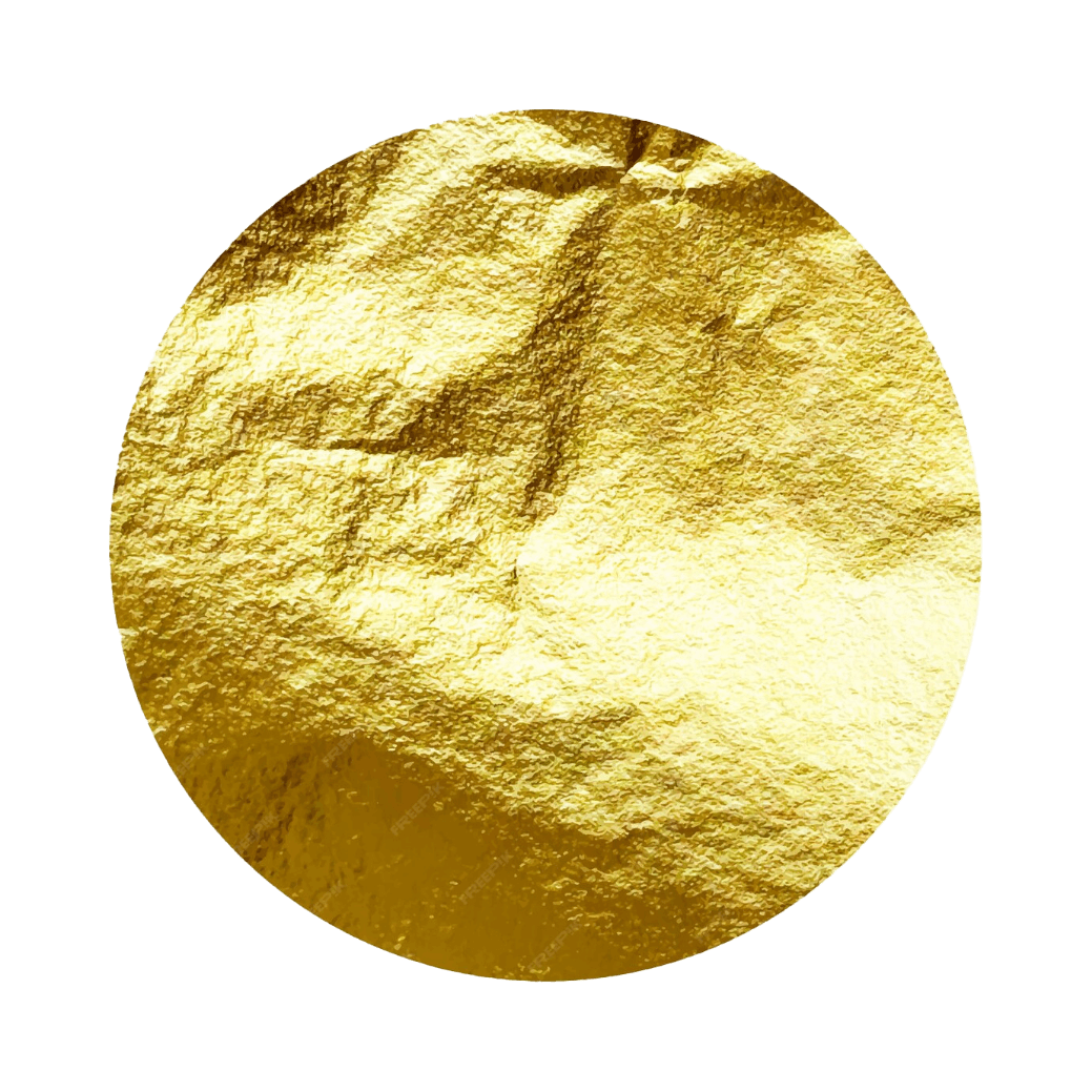 National Conference 2025 - NBCDI